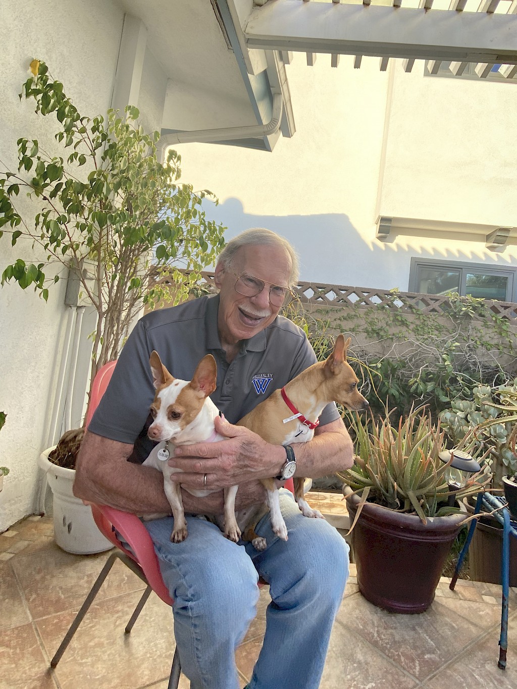 happy tails 11